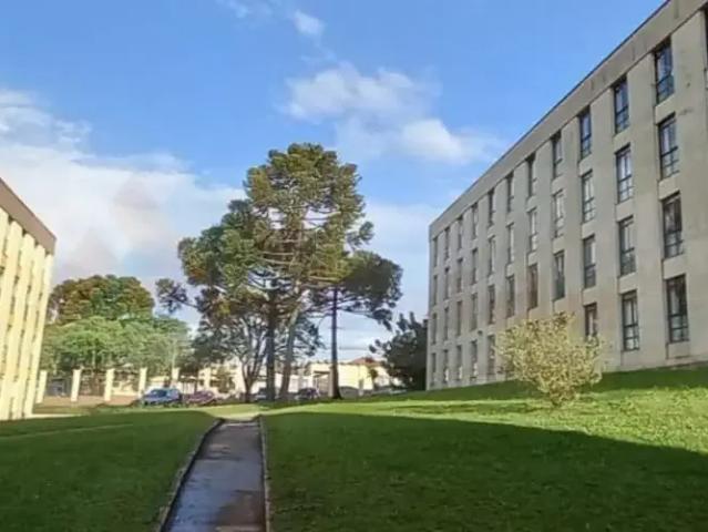 Apartamento para Venda em Ponta Grossa/PR Jardim Carvalho 3 Quartos