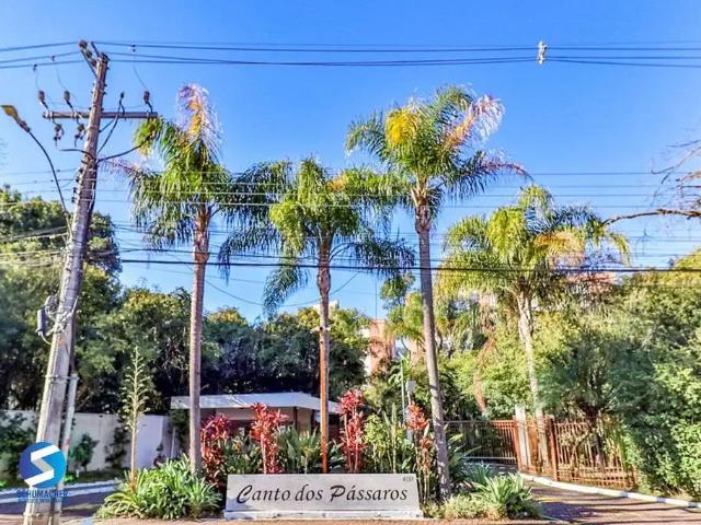 Apartamento para Venda em Porto Alegre/RS Morro Santana 3 Quartos