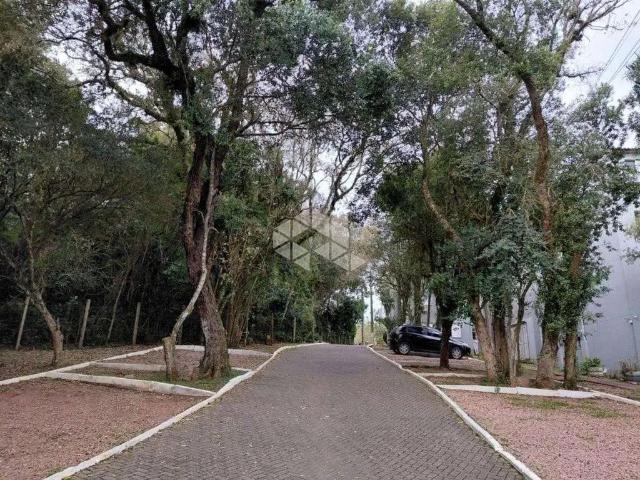 Apartamento para Venda em Porto Alegre/RS Agronomia 2 Quartos