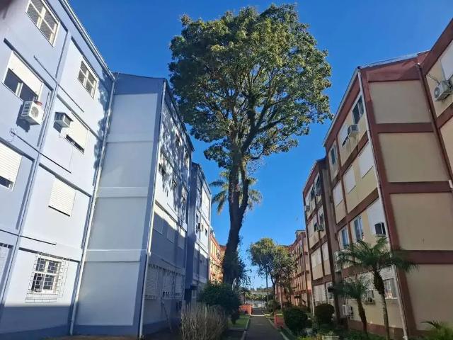 Apartamento para Venda em Porto Alegre/RS Camaquã 2 Quartos