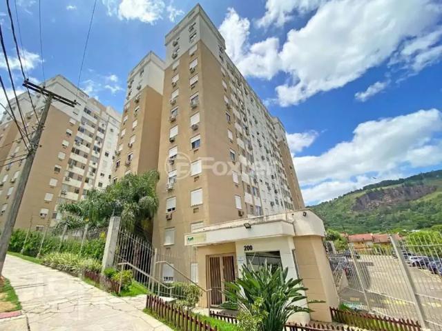 Apartamento para Venda em Porto Alegre/RS Jardim Carvalho 2 Quartos