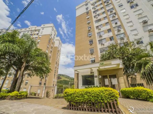Apartamento para Venda em Porto Alegre/RS Jardim Carvalho 3 Quartos