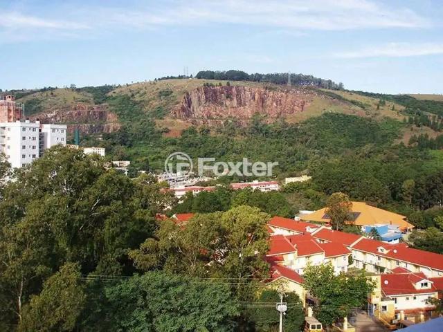 Apartamento para Venda em Porto Alegre/RS Jardim Carvalho 3 Quartos