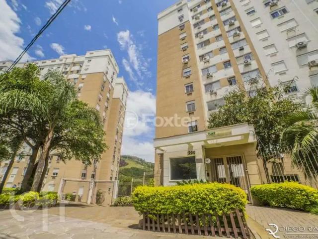Apartamento para Venda em Porto Alegre/RS Jardim Carvalho 3 Quartos