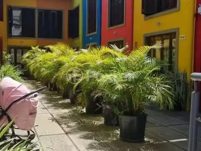 Apartamento para Venda em Porto Alegre/RS Jardim do Salso 2 Quartos