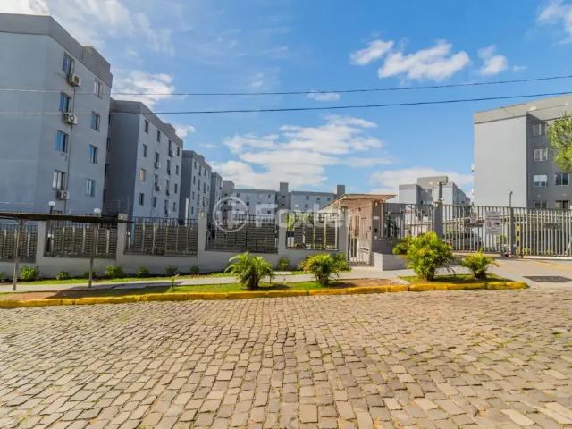 Apartamento para Venda em Porto Alegre/RS Jardim Leopoldina 1 Quartos
