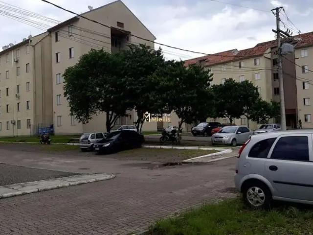 Apartamento para Venda em Porto Alegre/RS Lomba do Pinheiro 2 Quartos