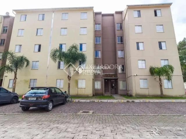 Apartamento para Venda em Porto Alegre/RS Lomba do Pinheiro 2 Quartos
