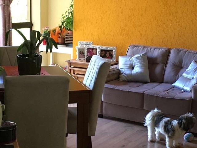 Apartamento para Venda em Porto Alegre/RS Santa Tereza 2 Quartos