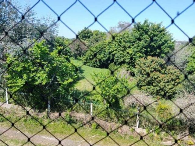 Apartamento para Venda em Porto Alegre/RS Vila Nova 2 Quartos