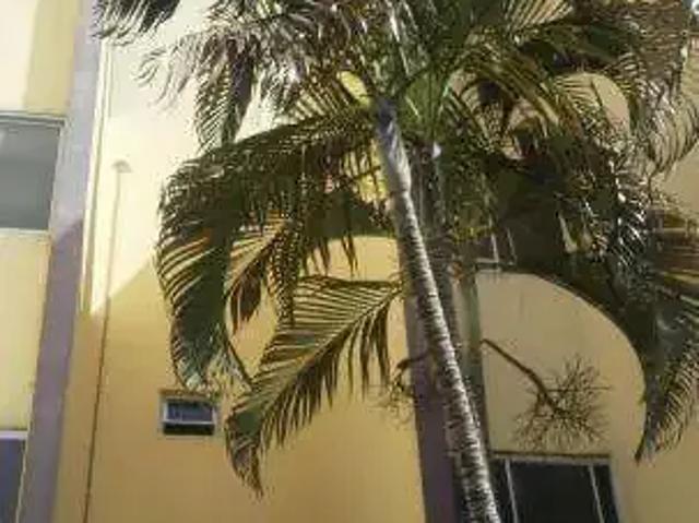 Apartamento para Venda em Presidente Prudente/SP Cidade Jardim 3 Quartos