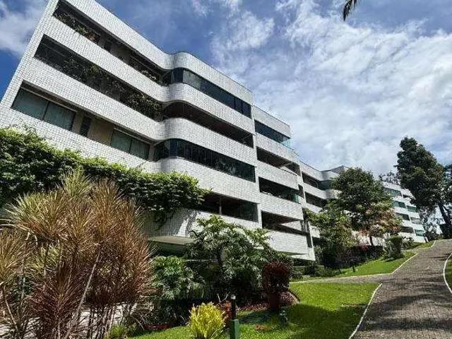 Apartamento para Venda em Recife/PE Macaxeira 4 Quartos