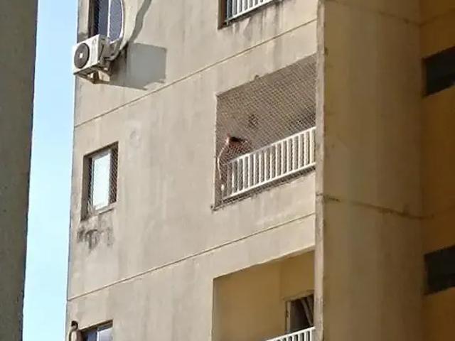 Apartamento para Venda em Recife/PE Imbiribeira 2 Quartos