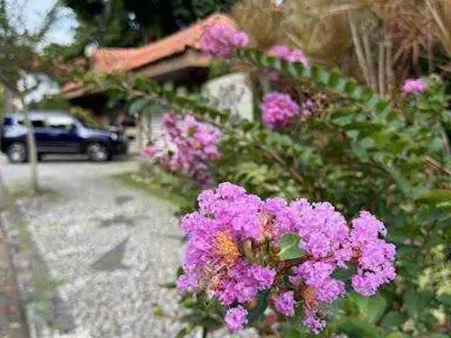 Apartamento para Venda em Recife/PE Poço da Panela 6 Quartos