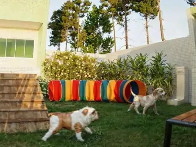 Apartamento para Venda em Recife/PE Tamarineira 2 Quartos