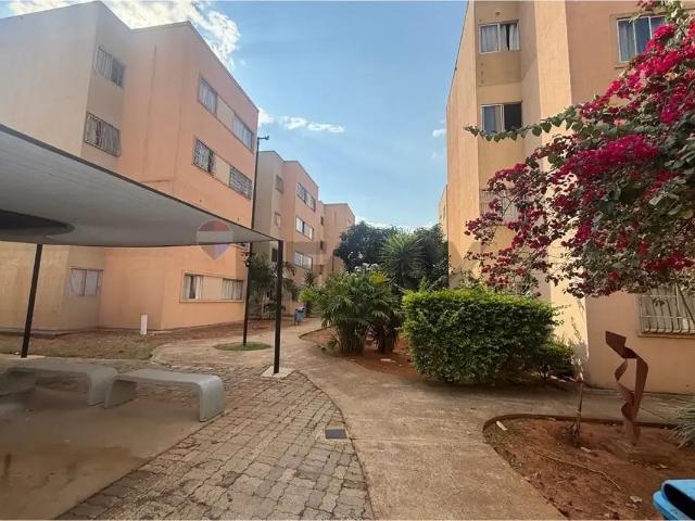 Apartamento para Venda em Riacho Fundo/DF Riacho Fundo II 3 Quartos