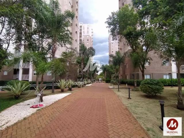 Apartamento para Venda em Ribeirão Preto/SP Jardim República 3 Quartos