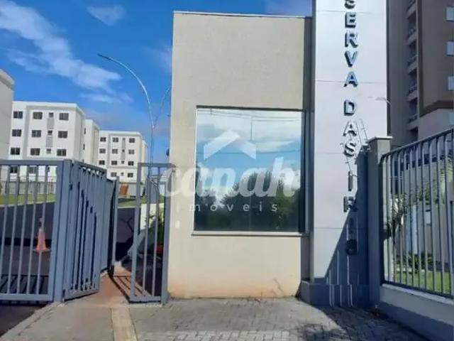 Apartamento para Venda em Ribeirão Preto/SP Recreio das Acácias 2 Quartos
