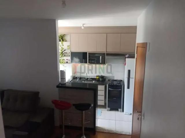 Apartamento para Venda em Ribeirão Preto/SP Vila Guiomar 2 Quartos