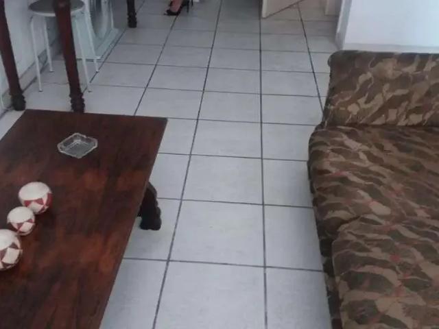 Apartamento para Venda em Rio de Janeiro/RJ Campo Grande 2 Quartos