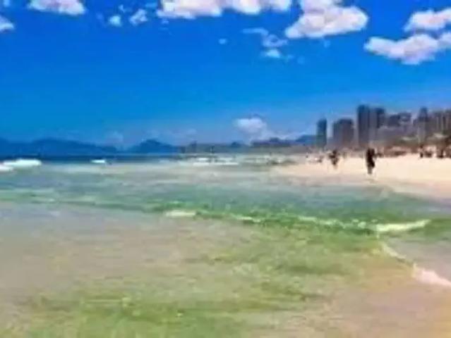 Apartamento para Venda em Rio de Janeiro/RJ Barra da Tijuca 4 Quartos