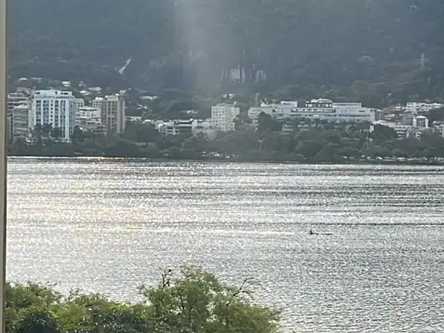 Apartamento para Venda em Rio de Janeiro/RJ Lagoa 3 Quartos