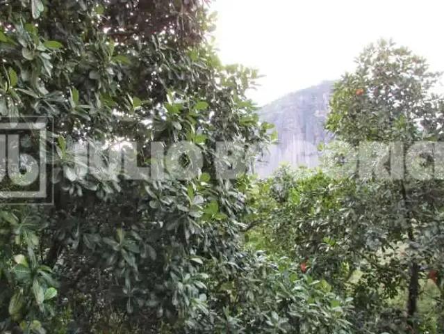 Apartamento para Venda em Rio de Janeiro/RJ Lagoa 4 Quartos