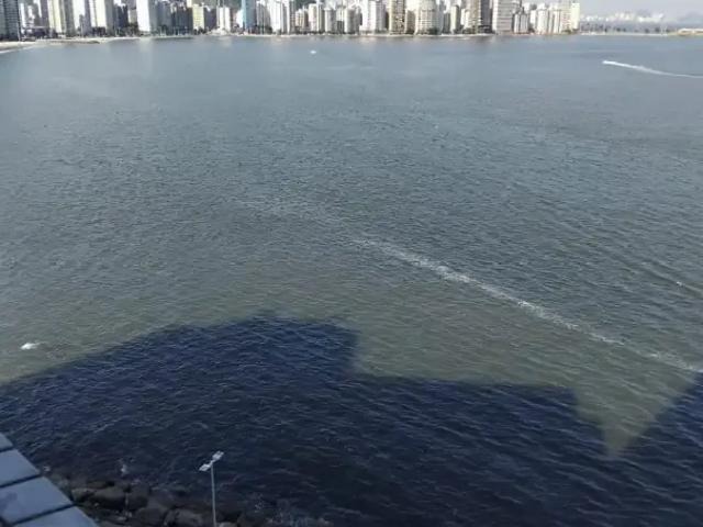 Apartamento para Venda em São Vicente/SP Morro dos Barbosas 1 Quartos