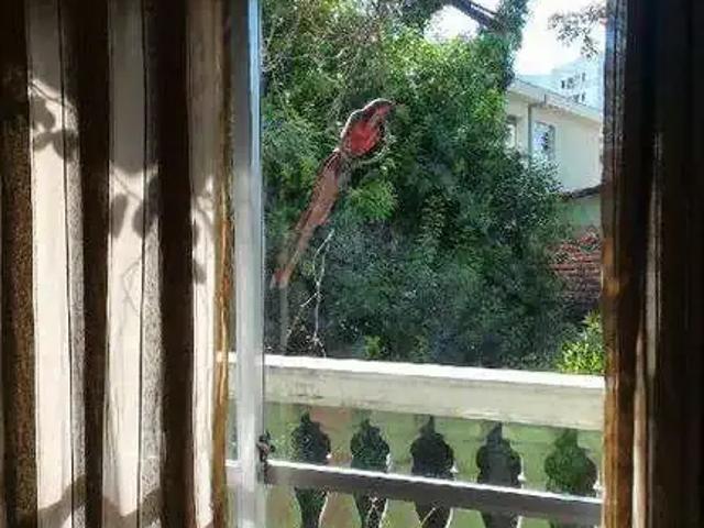 Apartamento para Venda em São Bernardo do Campo/SP Santa Terezinha 2 Quartos