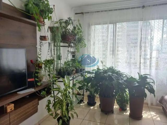 Apartamento para Venda em São Caetano do Sul/SP Centro 3 Quartos