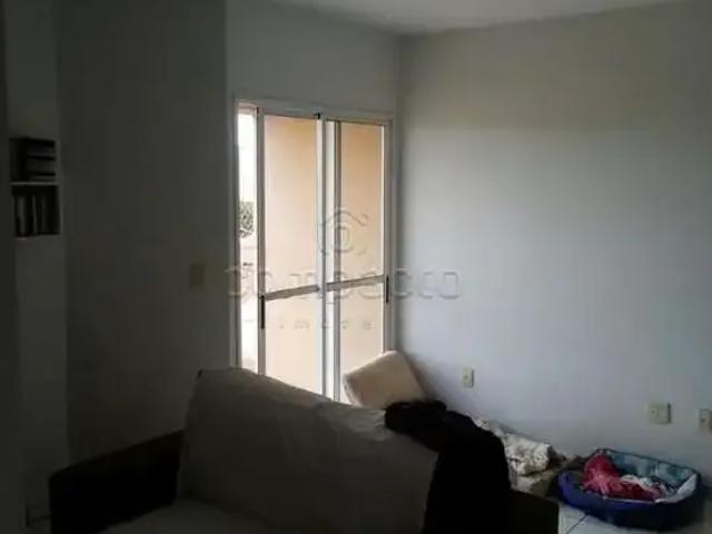 Apartamento para Venda em São José do Rio Preto/SP Higienópolis 2 Quartos