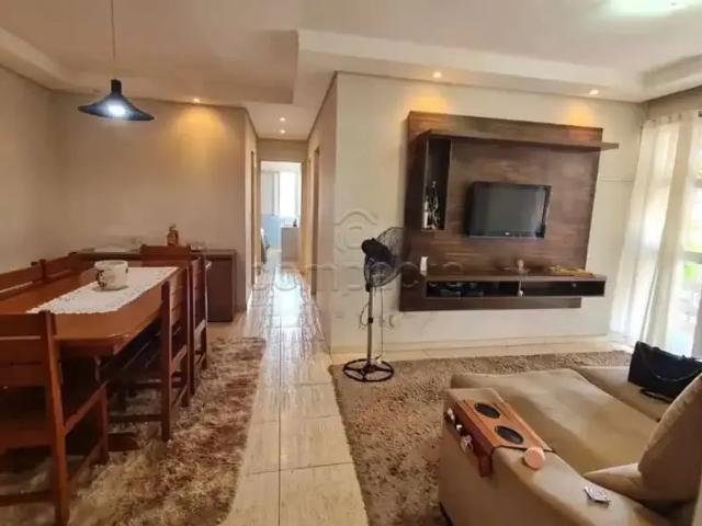 Apartamento para Venda em São José do Rio Preto/SP Jardim Walkíria 3 Quartos
