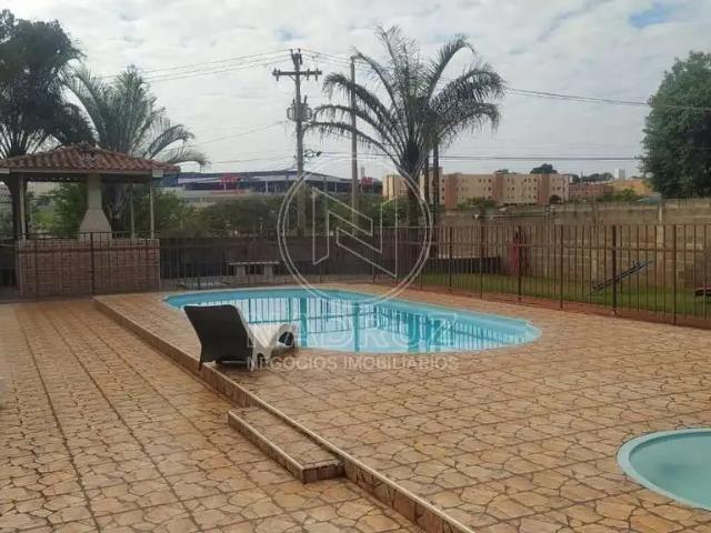 Apartamento para Venda em São José do Rio Preto/SP Jardim Conceição 2 Quartos