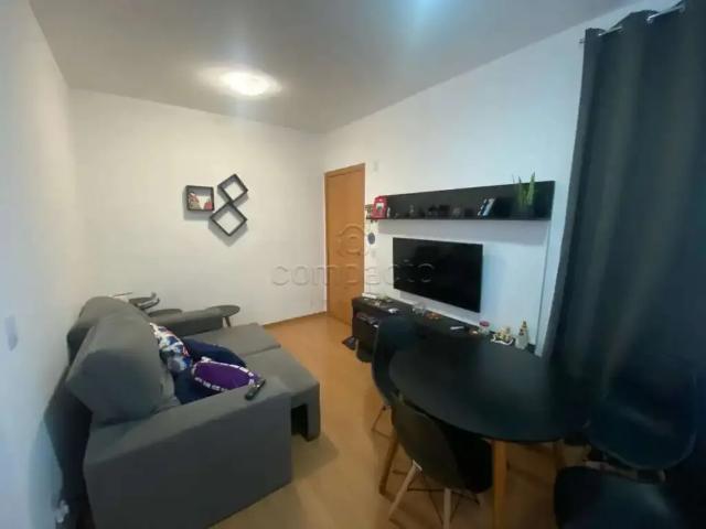 Apartamento para Venda em São José do Rio Preto/SP Jardim Marajó 2 Quartos