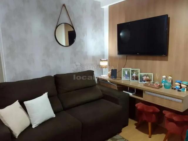 Apartamento para Venda em São José do Rio Preto/SP Jardim Planalto 2 Quartos