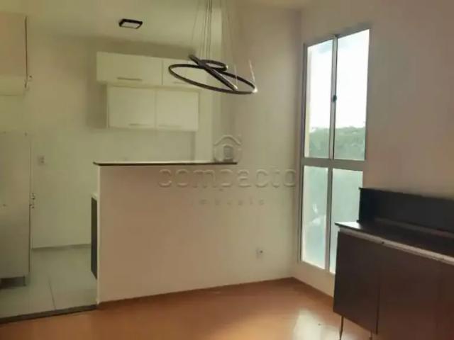 Apartamento para Venda em São José do Rio Preto/SP Jardim Planalto 2 Quartos