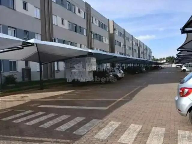Apartamento para Venda em São José do Rio Preto/SP Loteamento Residencial Maria Adélia 2 Quartos