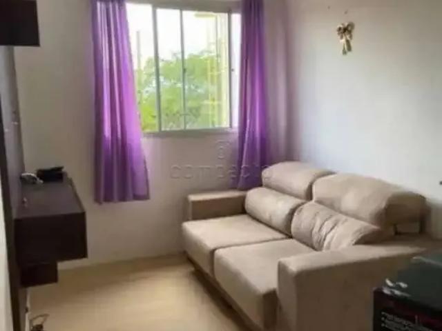 Apartamento para Venda em São José do Rio Preto/SP Parque das Flores II 2 Quartos