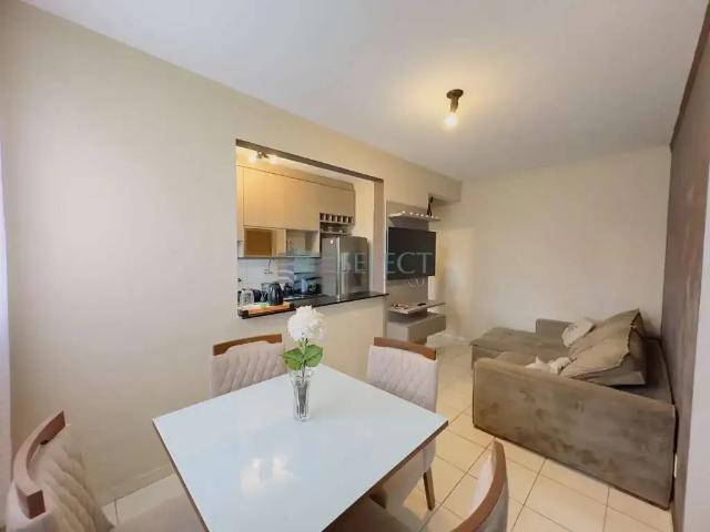 Apartamento para Venda em São José do Rio Preto/SP Residencial Ana Célia 2 Quartos