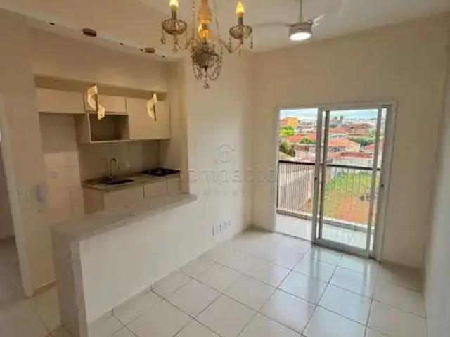Apartamento para Venda em São José do Rio Preto/SP Vila Boa Esperança 1 Quartos