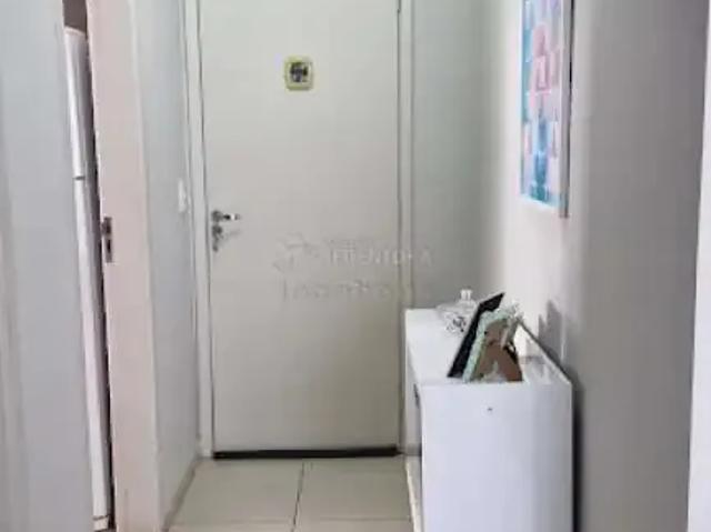 Apartamento para Venda em São José do Rio Preto/SP Vila Ercília 1 Quartos