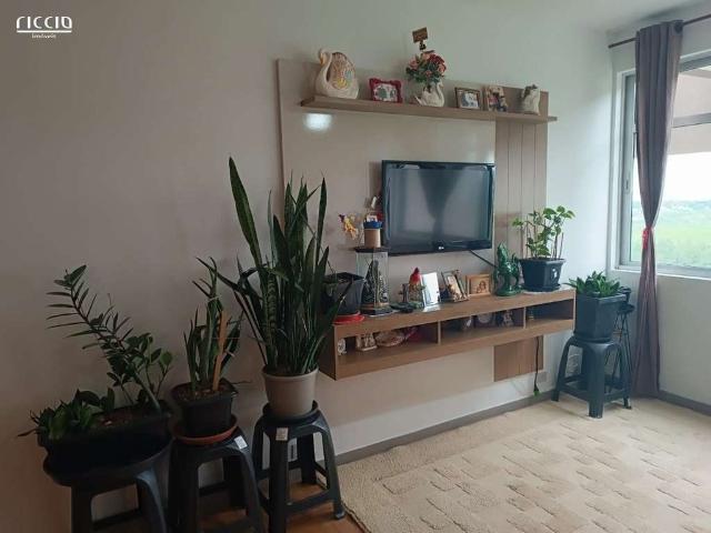 Apartamento para Venda em São José dos Campos/SP Jardim Bela Vista 2 Quartos