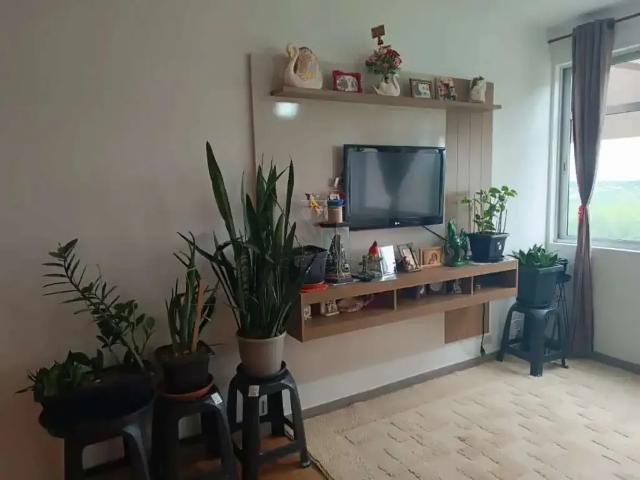 Apartamento para Venda em São José dos Campos/SP Jardim Bela Vista 3 Quartos
