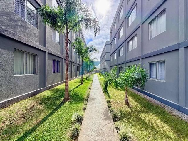 Apartamento para Venda em São José dos Pinhais/PR Pedro Moro 3 Quartos