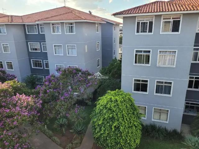 Apartamento para Venda em São José dos Pinhais/PR Pedro Moro 3 Quartos