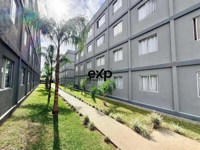 Apartamento para Venda em São José dos Pinhais/PR Pedro Moro 3 Quartos