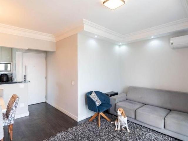 Apartamento para Venda em São Paulo, Vila Laís, 3 dormitórios, 1 suíte, 2 banheiros, 2 vagas