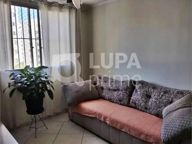 Apartamento para Venda em São Paulo/SP Mandaqui 2 Quartos
