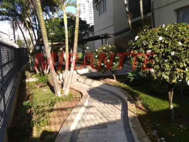 Apartamento para Venda em São Paulo/SP Mandaqui 3 Quartos