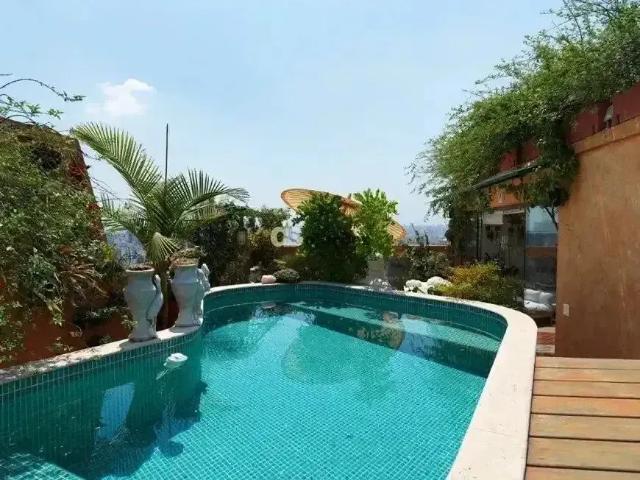 Apartamento para Venda em São Paulo/SP Morro dos Ingleses 4 Quartos